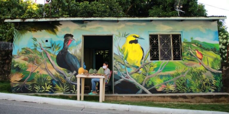 La Ulloa, Huila, un paraíso lleno de encantos que vale la pena conocer ...